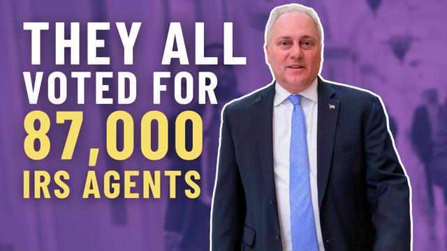 "Every single Democrat voted against" repealing 87,000 new IRS agents ...